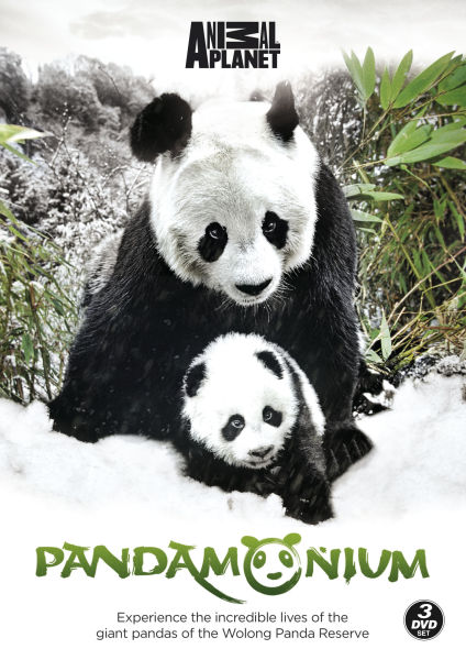 Pandamonium DVD | Zavvi.com