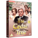 The Cedar Tree - The Complete Third Series DVD - Zavvi UK